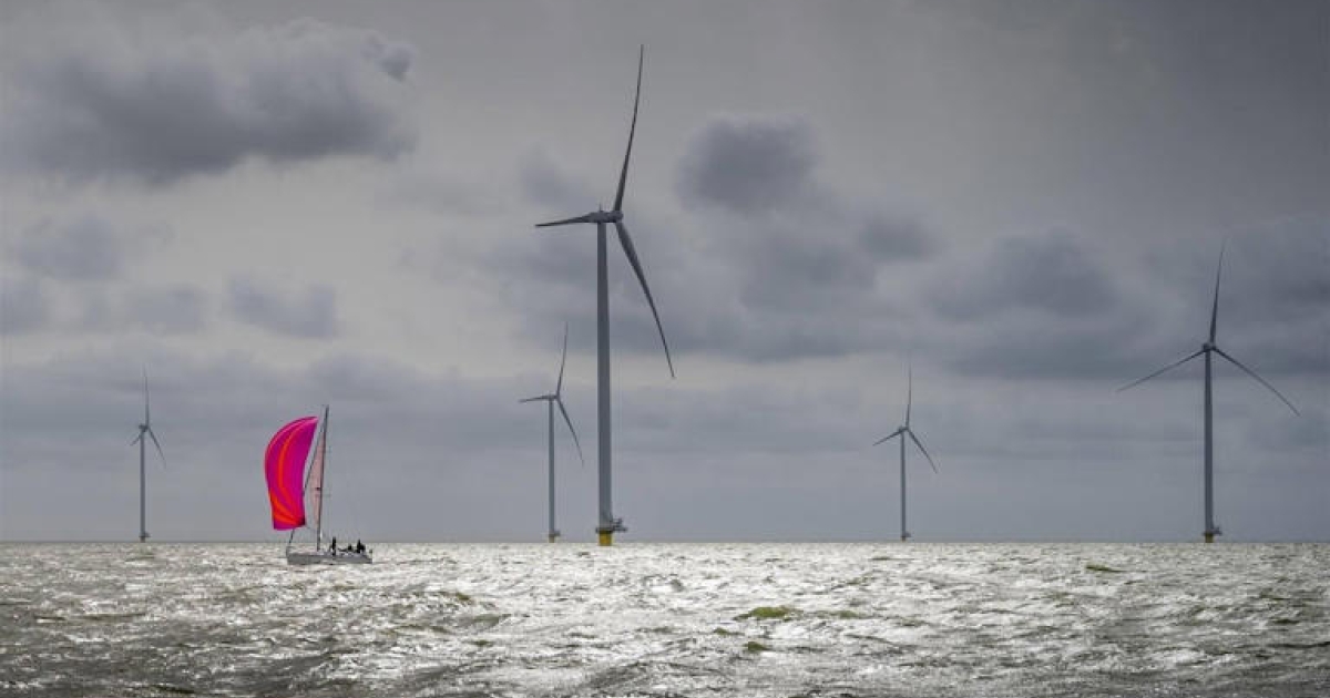 Windenergie op zee valt fors duurder uit dan verwacht | Suriname Nieuws ...