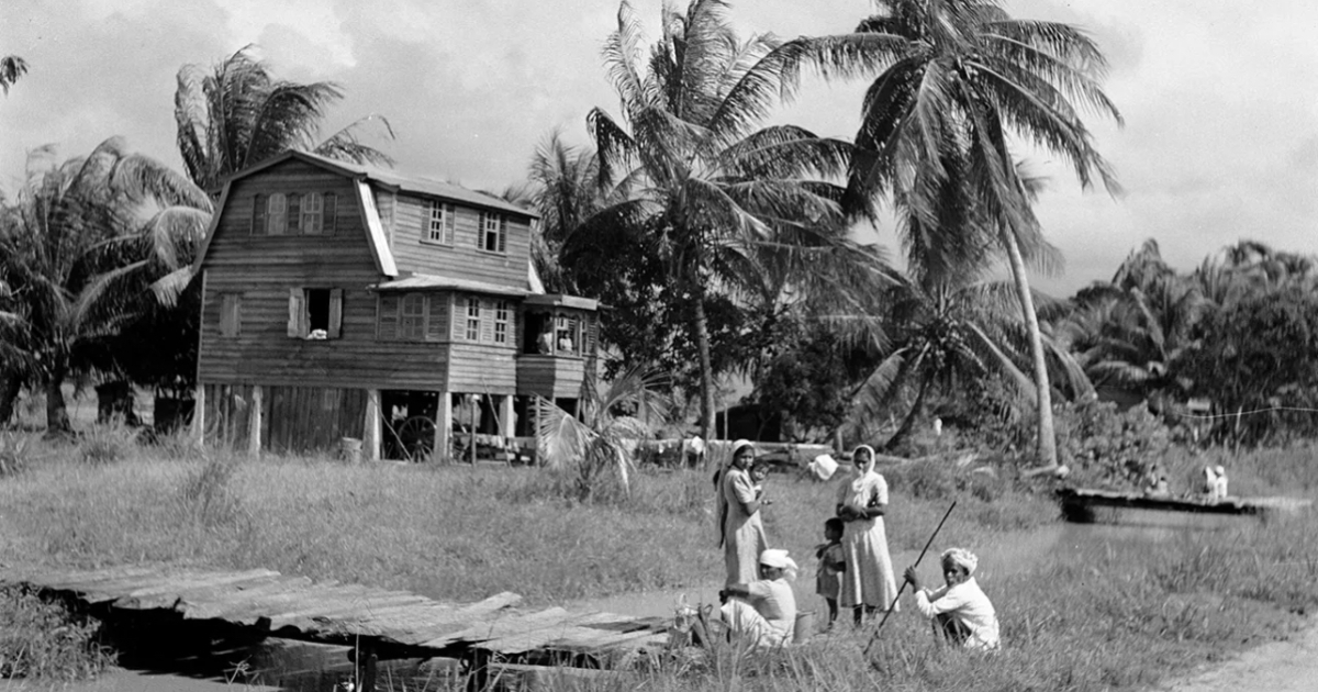 Surinaamse contractarbeiders zijn miskend in ons koloniaal verleden ...