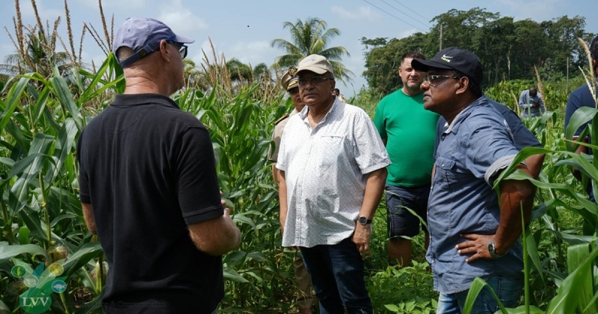 Minister Sewdien geeft startsein landelijk plantvermeerderingsproject ...