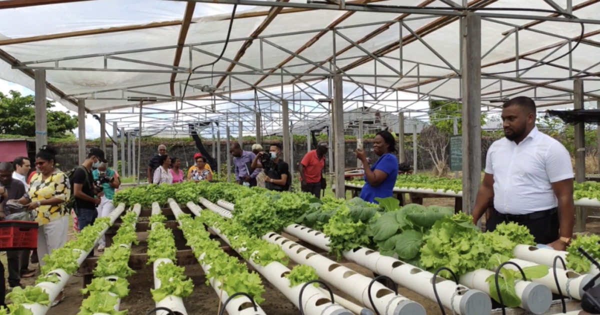 Shell Suriname doneert hydroponics moestuin aan Huize Ashiana ...