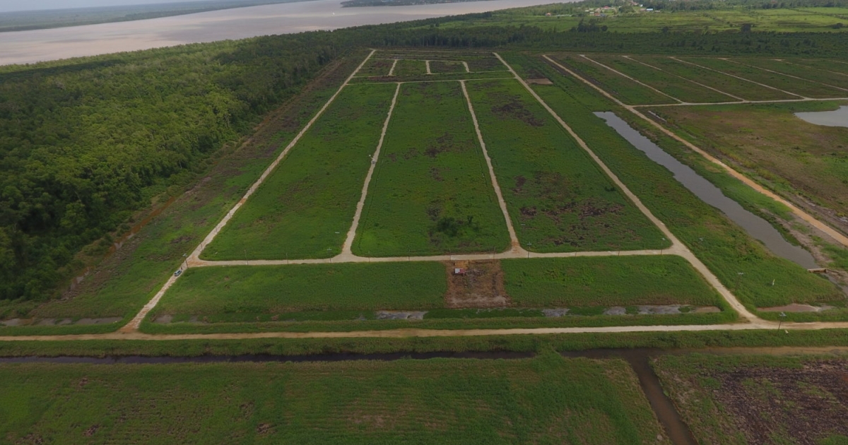 Alle gronduitgiftes Sabaku-project met zes maanden opgeschort ...