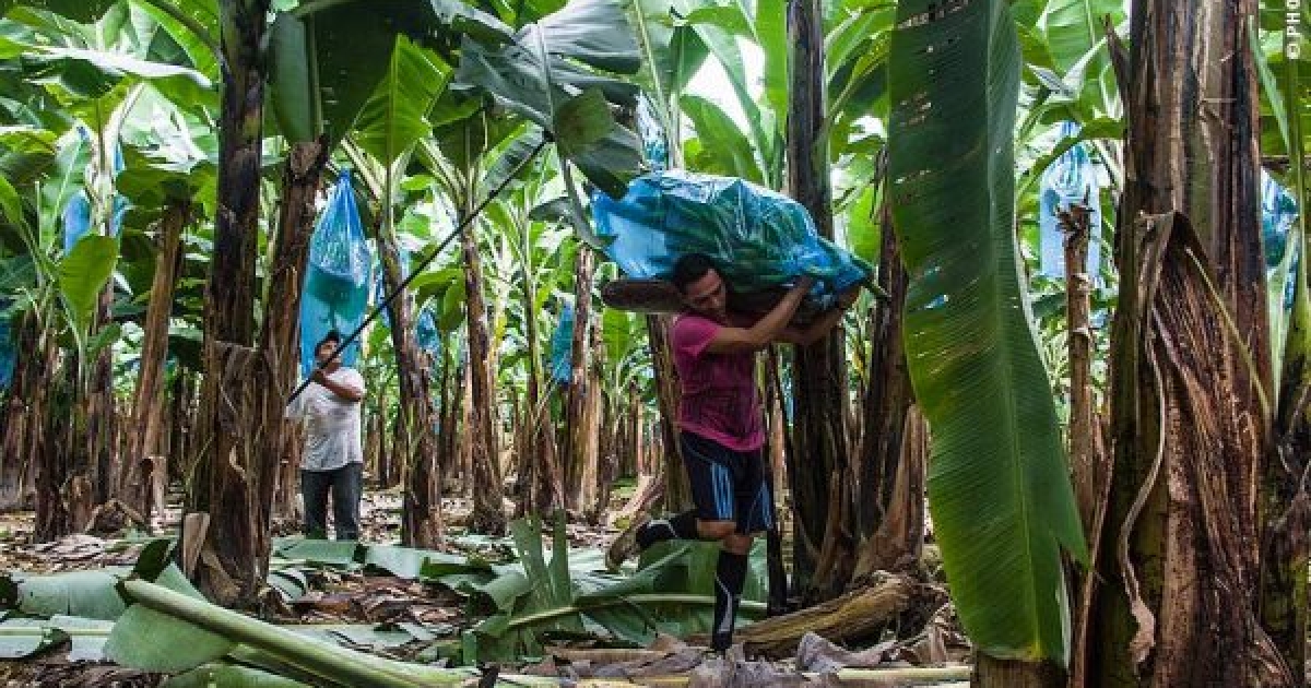 Suriname neemt afscheid van oud-president Ronald Venetiaan | Suriname ...