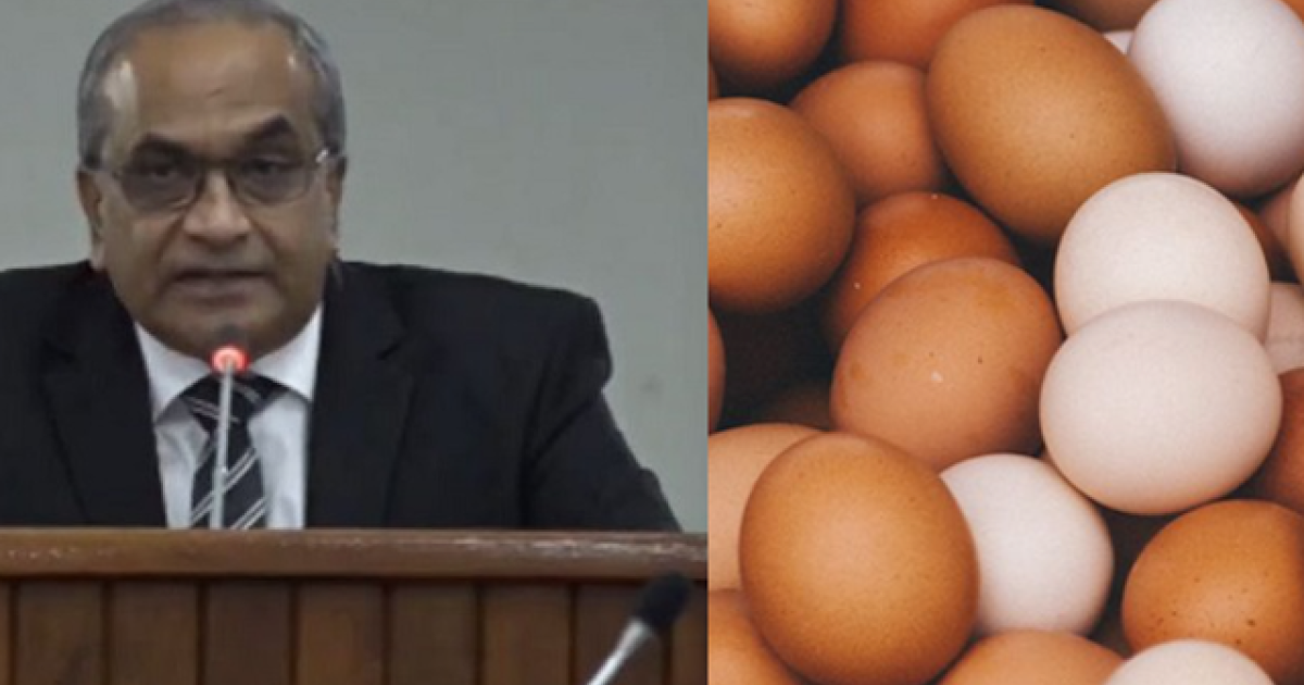 Inzake Doksenclub: leugens en drogredenen van Sewdien ontmaskerd ...