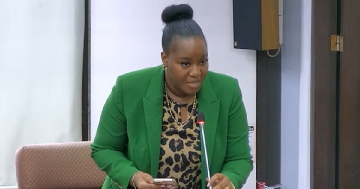 Abop’ers pleiten voor landelijke stembureaus bij verkiezingen ...