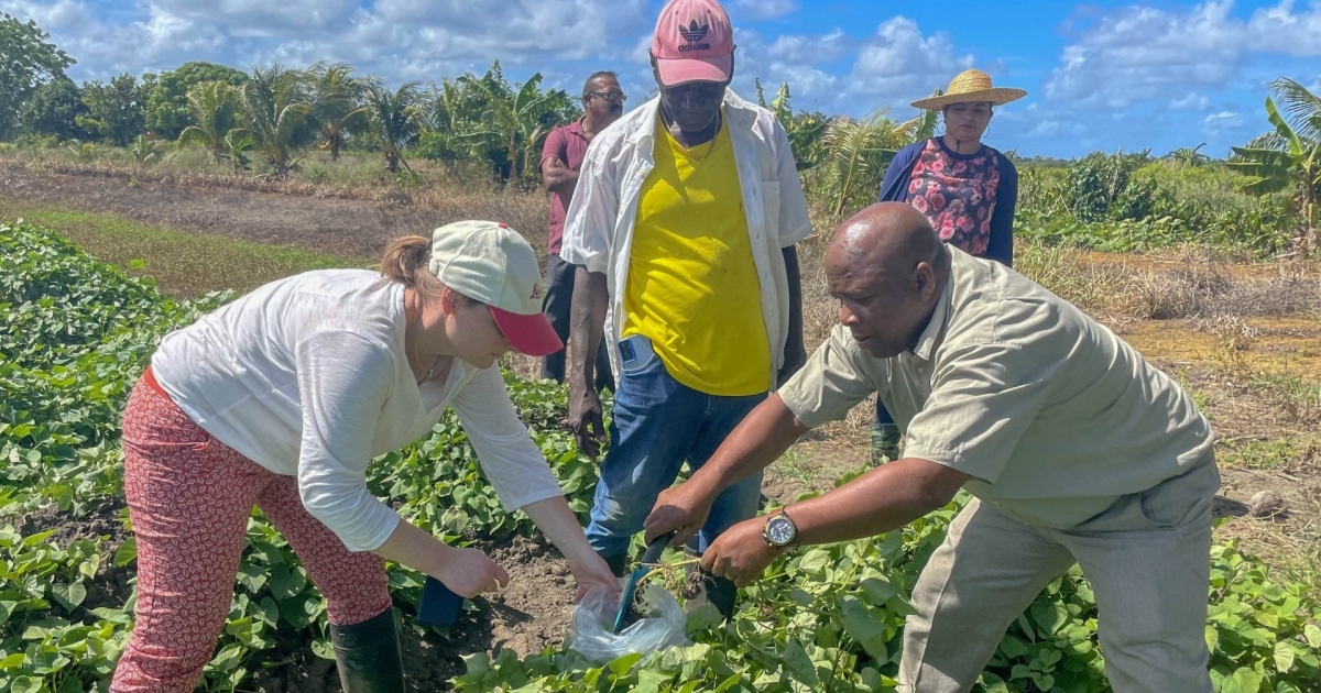 Plantgezondheid versterkt met Nederlandse expertise | Suriname Nieuws ...