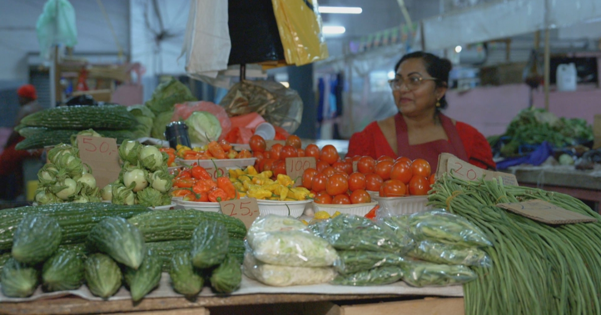 IMF positief over Surinaamse economie, steunpakket komt ten einde ...