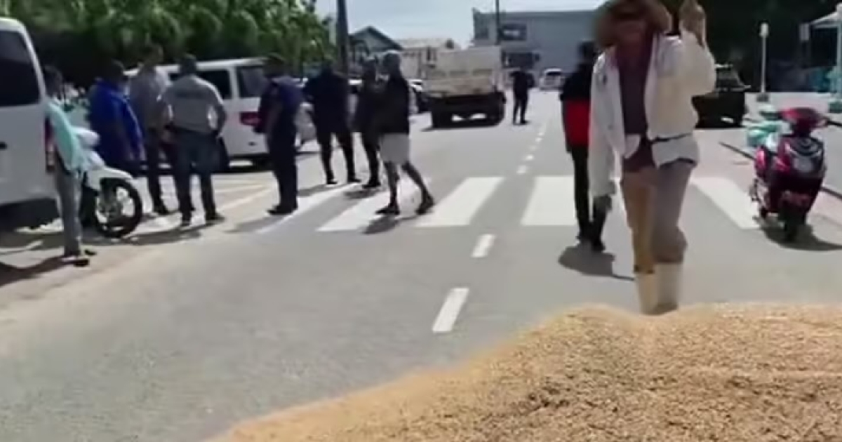 Minister Sewdien stoort zich niet aan acties padieboeren ...