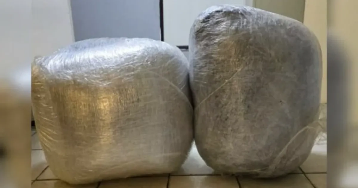 Politie onderschept 28 kilo marihuana bij controlepost Burnside ...