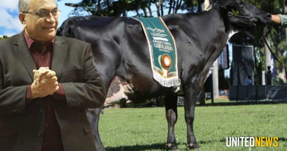 IMPORT VEREDELDE KOE MOET MELKPRODUCTIE STIMULEREN EN IMPORT MELKPOEDER ...