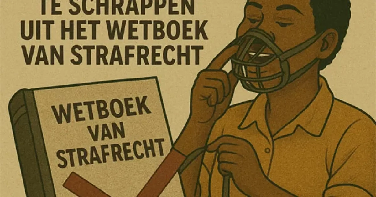 Initiatiefwet: ‘muilkorfartikelen’ schrappen uit strafrecht, vrije ...