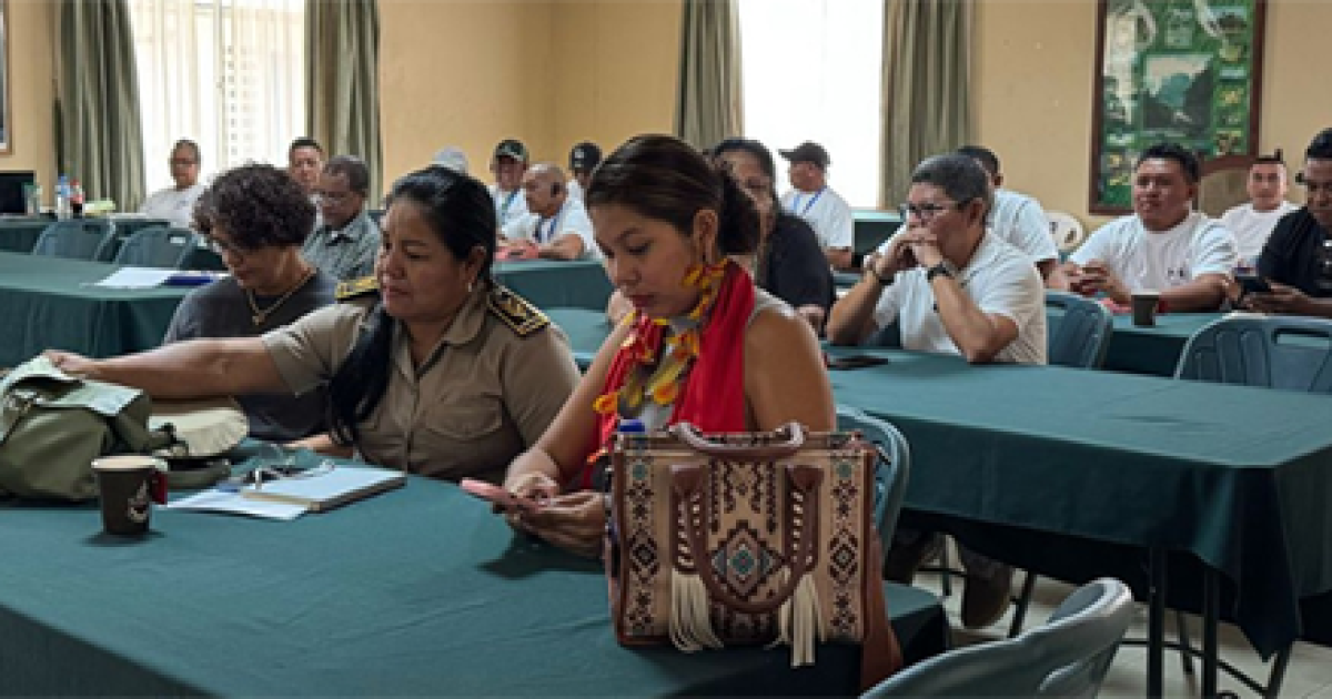 Inheemsen uit Zuid-Suriname krijgen capaciteitstraining | Suriname ...