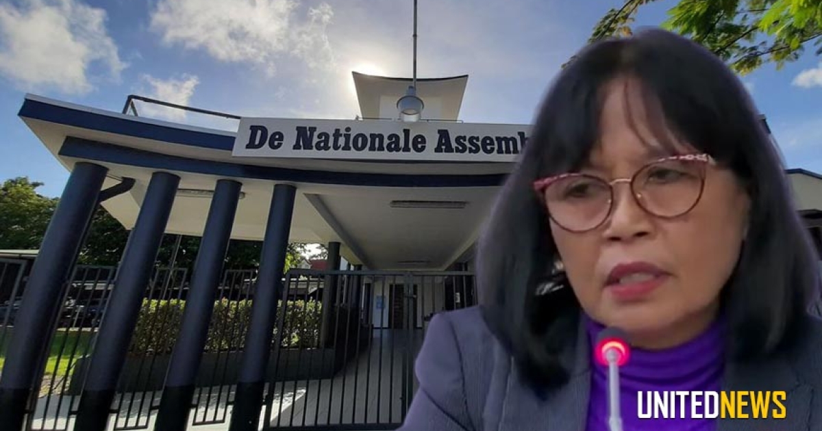 ANN SADIE (NDP) VINDT NIEUW SALARIS VOOR DNA-LEDEN TE HOOG | Suriname ...