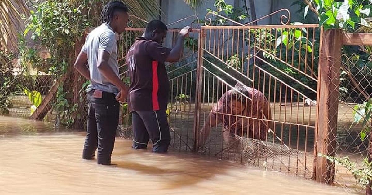 GUYANA: GROTE OVERSTROMING IN REGIO 9, GEZINNEN VERHUISD | Suriname ...