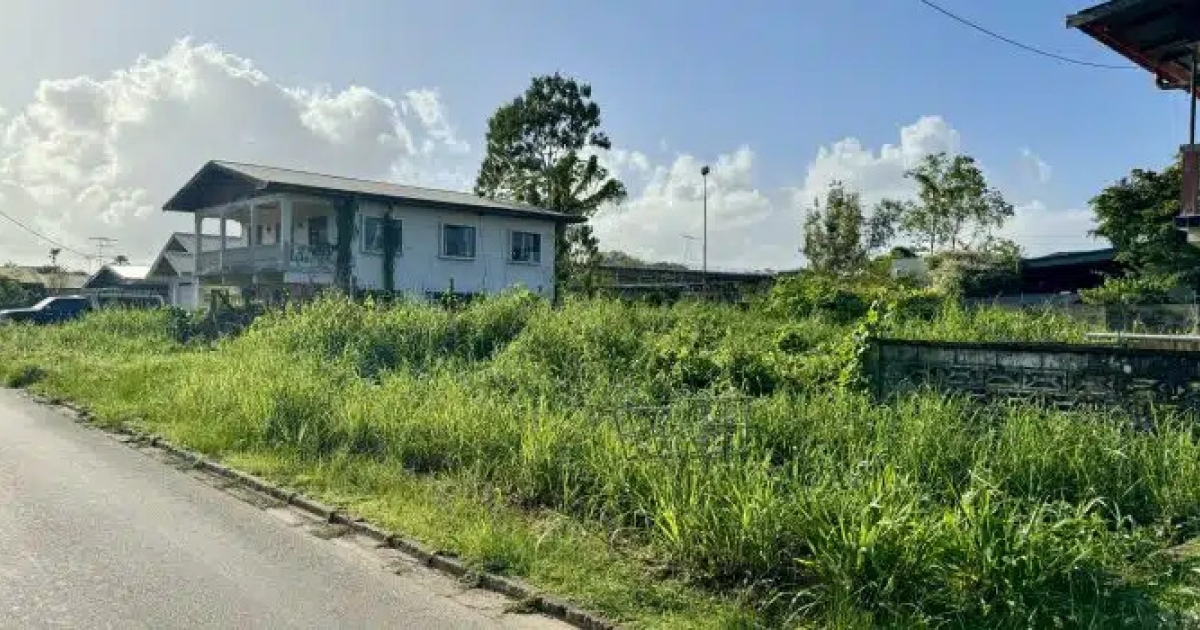 Nederlanders ontdekken voordelige kans: Perceel kopen en huis bouwen in ...