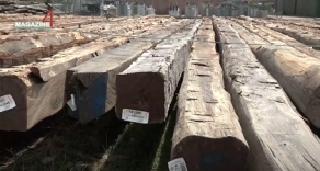 Geen lange rijen meer: KPS lanceert rijbewijzen-portaal | Suriname ...