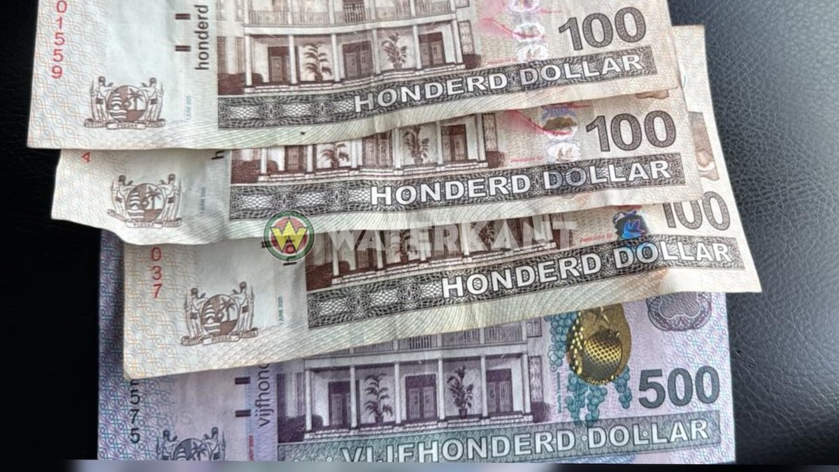 Geen lange rijen meer: KPS lanceert rijbewijzen-portaal | Suriname ...