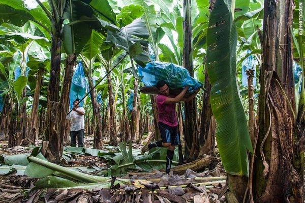 Rebranding van Webhelp naar Concentrix | Suriname Nieuws Centrale